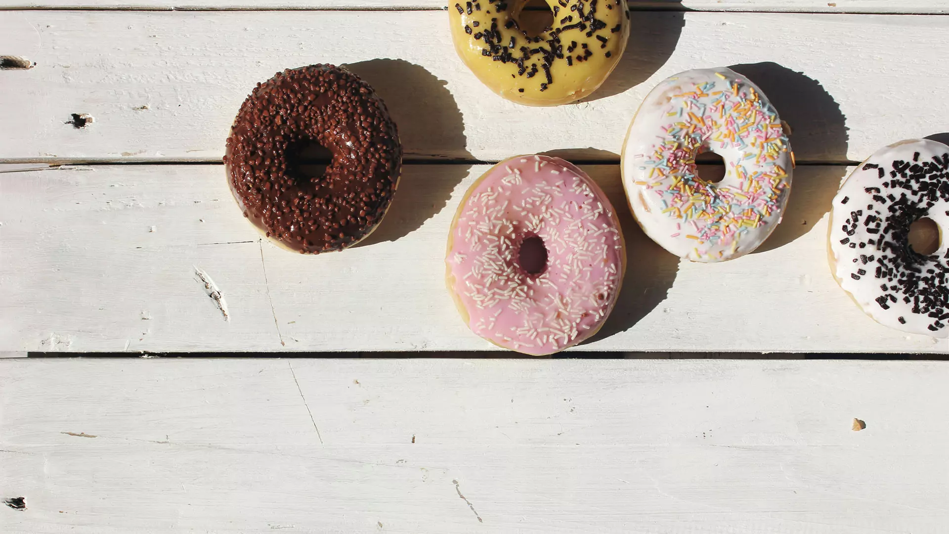 Doughnut Economics | Bampton Beam